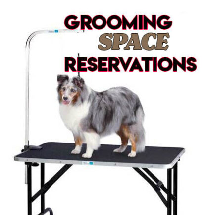Grooming/Crating SPECIALTY CLUB only – 2026 Early-Bird Reservations ...